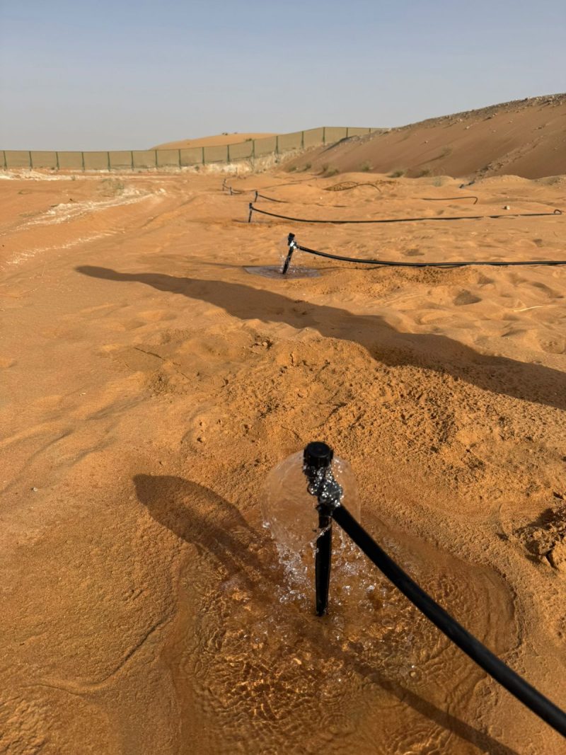 Automatic Irrigation System | Sprinklers & Pump Room - The Gardenian